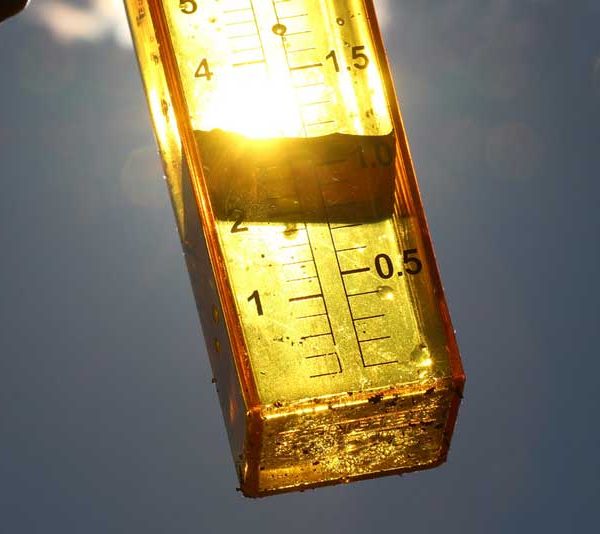 How to Articles | The Weather Station.com