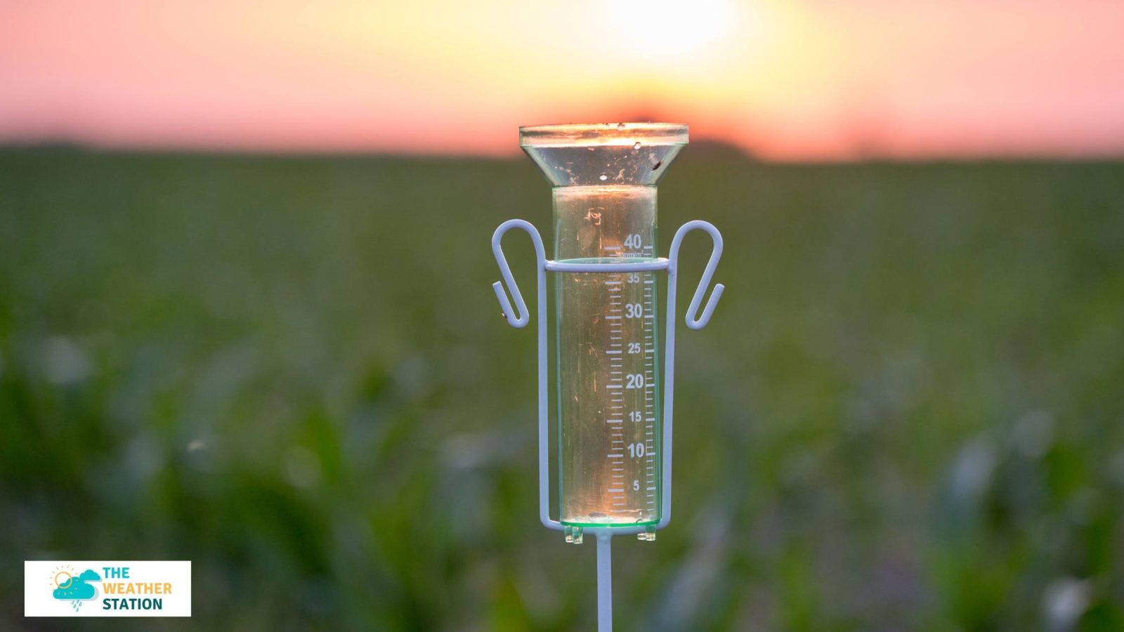 How To Maintain Your Weather Station | Top 6 Tips for Cleaning