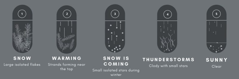 5 Best Storm Glass Reviews: An Ultimate Guide [2022]