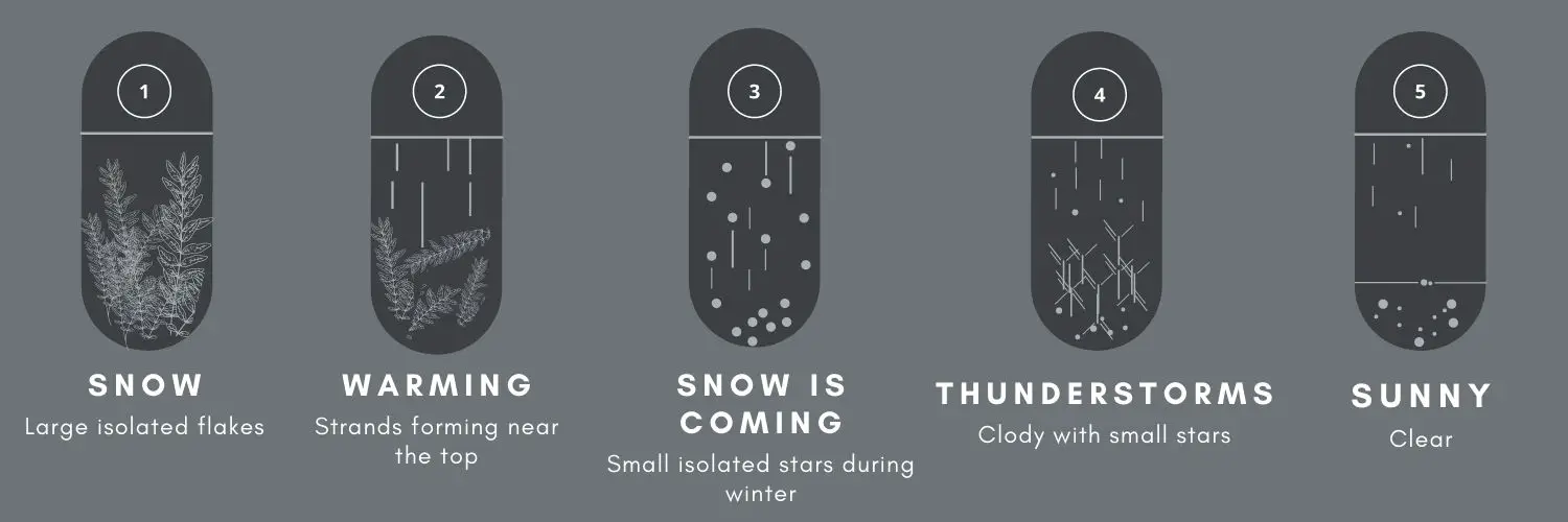 5 Best Storm Glass Reviews: An Ultimate Guide [2022]