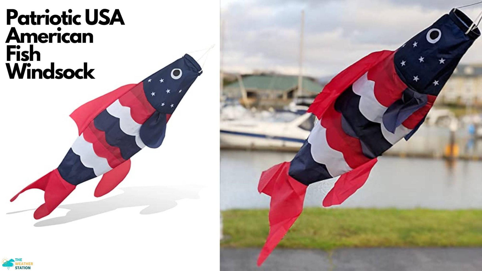 Top 6 Wind Sock : Finding the Perfect Options