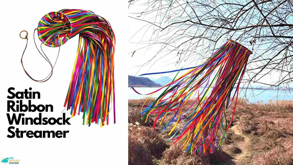 Top 6 Wind Sock : Finding the Perfect Options